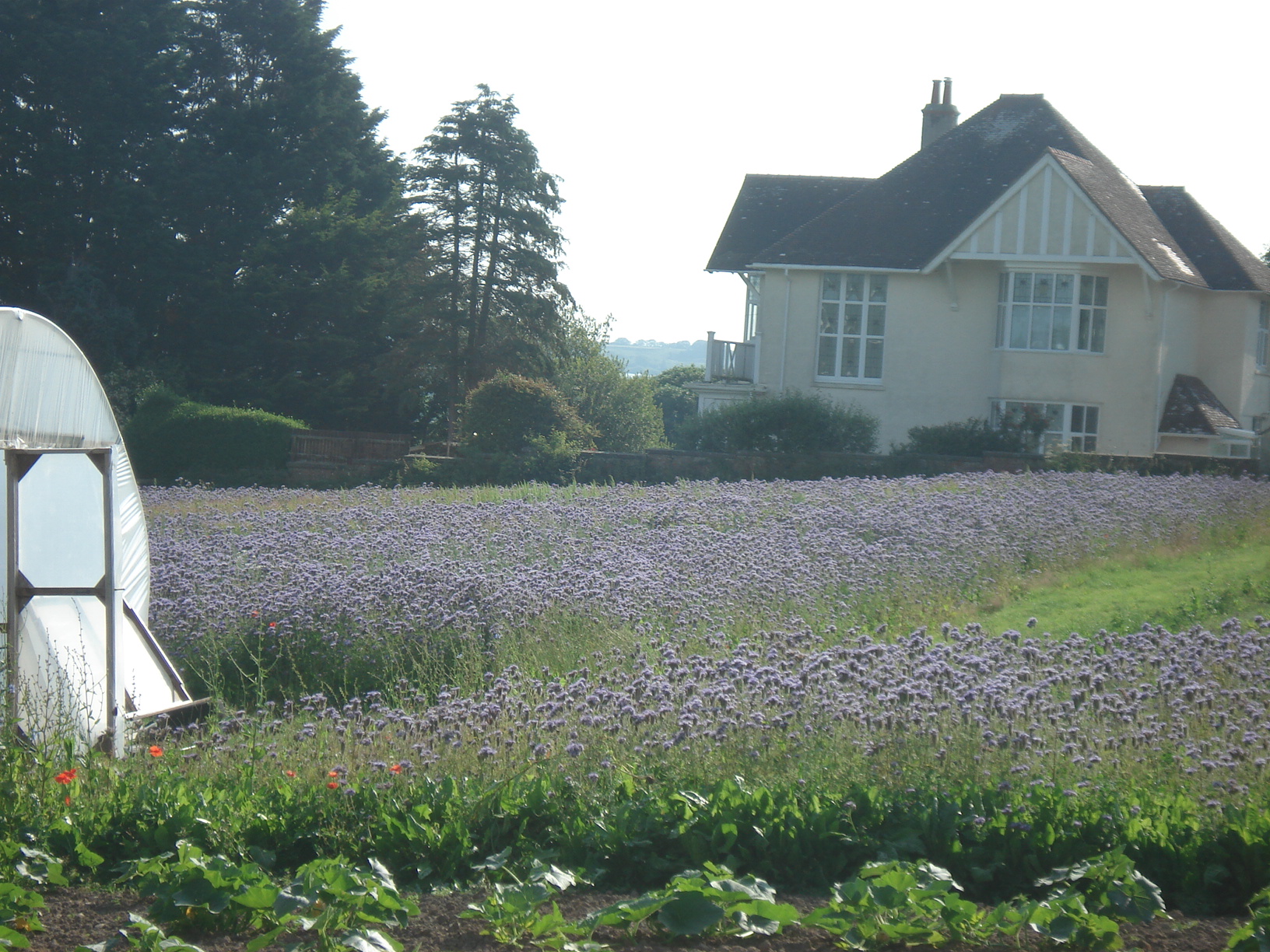 2023 News | Glebelands Market Garden